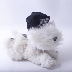 Paris France, White Plush Yorkie Wearing Black Hat, Cute, Furry, Soft ...