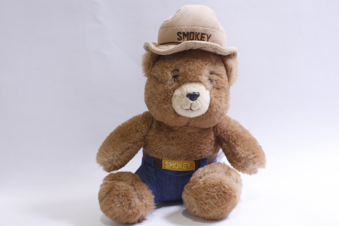 Smoky the Bear, Cute Plush Toy, Smiling, Say No to Forest Fires, Smokey ...