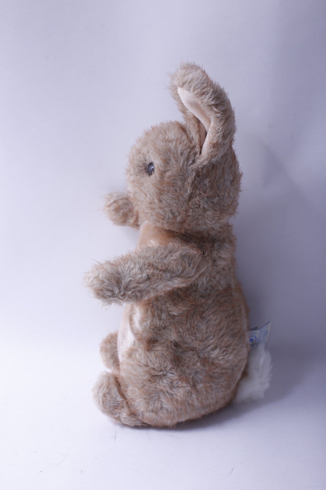 Peter Rabbit, Plush, Brown Bunny, the World of Beatrix Potter, Soft Toy ...