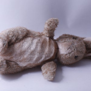 Peter Rabbit, Plush, Brown Bunny, the World of Beatrix Potter, Soft Toy ...