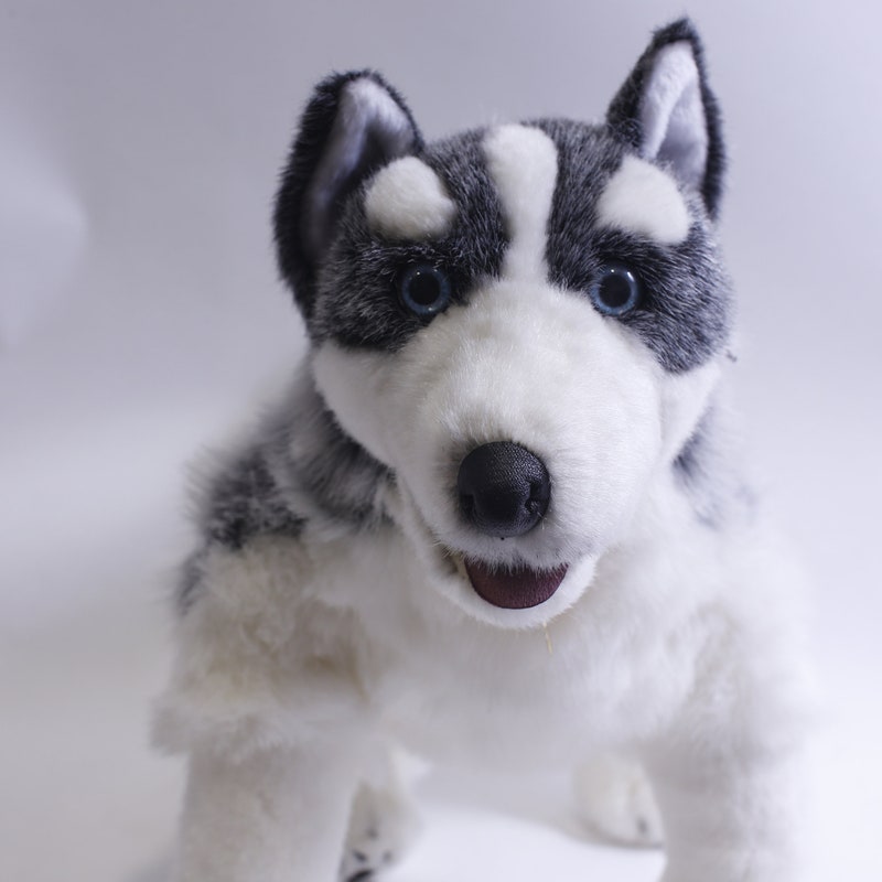 Husky Plush - Etsy