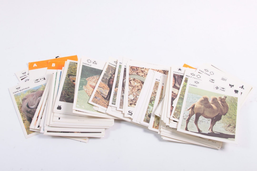 Vintage 1970s Animal Wildlife Cards - Leisure Books 1975 - 100+ Cards ...
