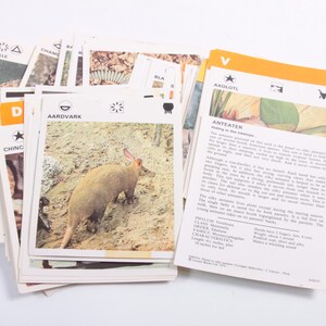Vintage 1970s Animal Wildlife Cards - Leisure Books 1975 - 100+ Cards ...