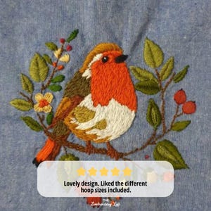 Spring Robin Hand Embroidery Pattern, Robin Pattern, Spring Bird ...