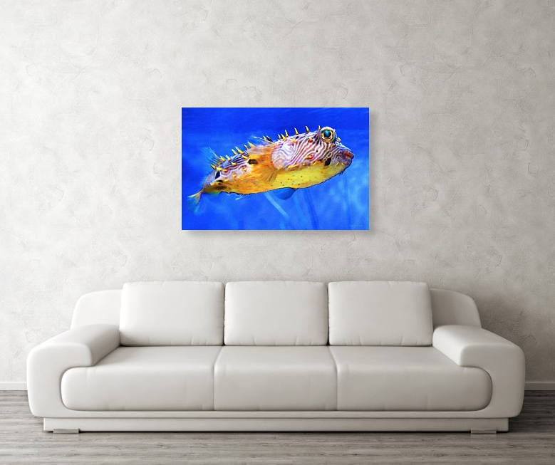 Cute Puffer Fish Art Print From Painting Puffy Tropical Fun | Etsy