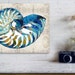 Nautilus Shell Art Print From Painting Colorful Blue Beach - Etsy
