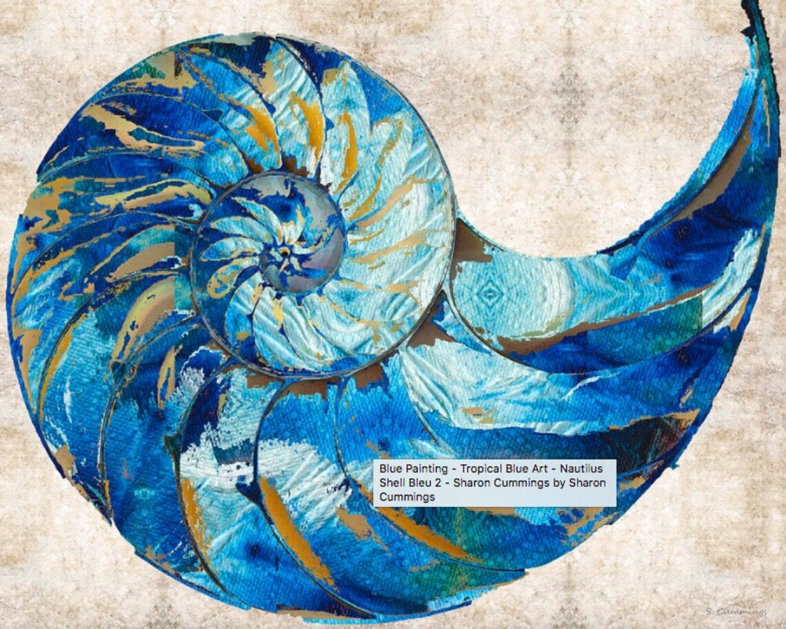 Nautilus Shell Art Print From Painting Colorful Blue Beach - Etsy