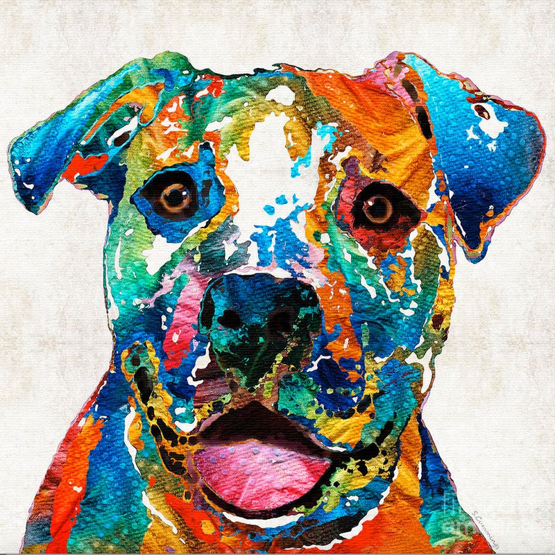 Pitbull Artwork - Etsy