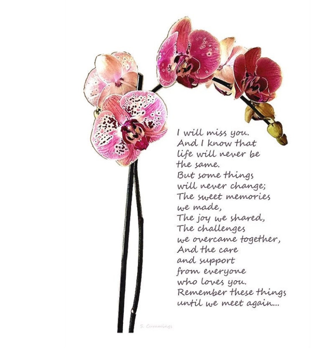 Colorful Pink Orchid Art Grief Comforting PRINT Flower Floral Poem ...