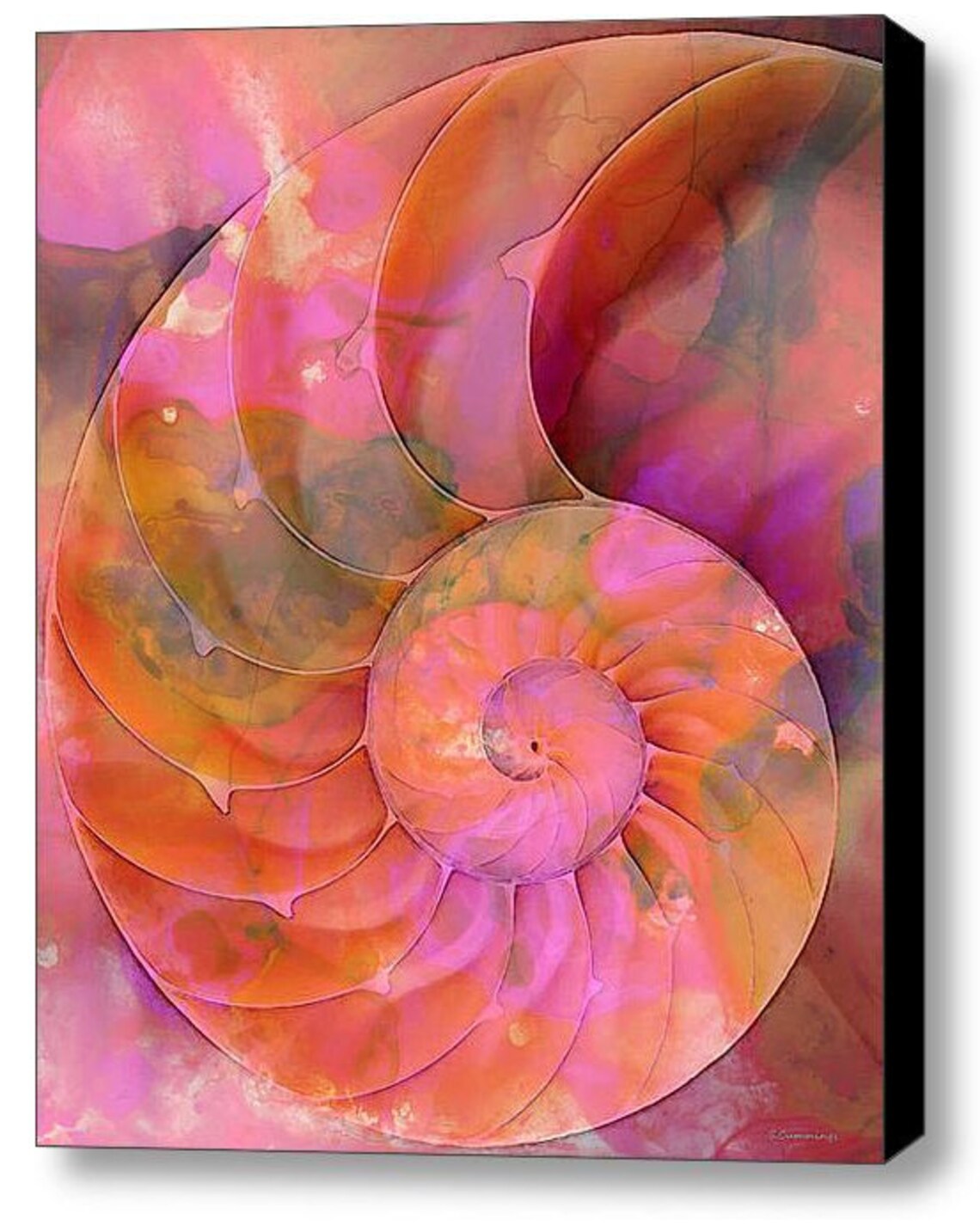 Nautilus Shell Art Print From Painting Colorful Pink Beach - Etsy