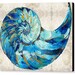 Nautilus Shell Art Print From Painting Colorful Blue Beach - Etsy