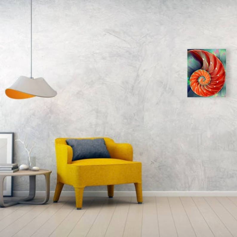 Nautilus Shell Art Print from Painting Colorful Red Beach | Etsy