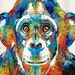 Chimp Art PRINT Colorful Animal Rainbow Zoo Primary Color Funny Freaky ...