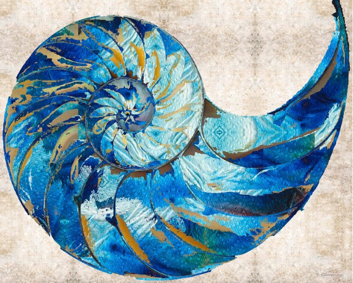 Nautilus Shell Art Print From Painting Colorful Blue Beach - Etsy