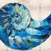 Nautilus Shell Art Print From Painting Colorful Blue Beach - Etsy