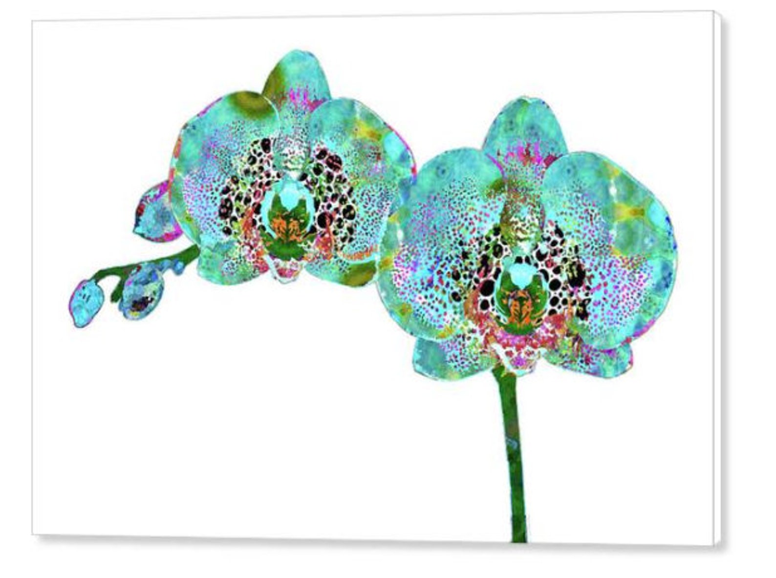 Colorful Blue Orchid Art Print From Painting Tropical Flowers Beach ...