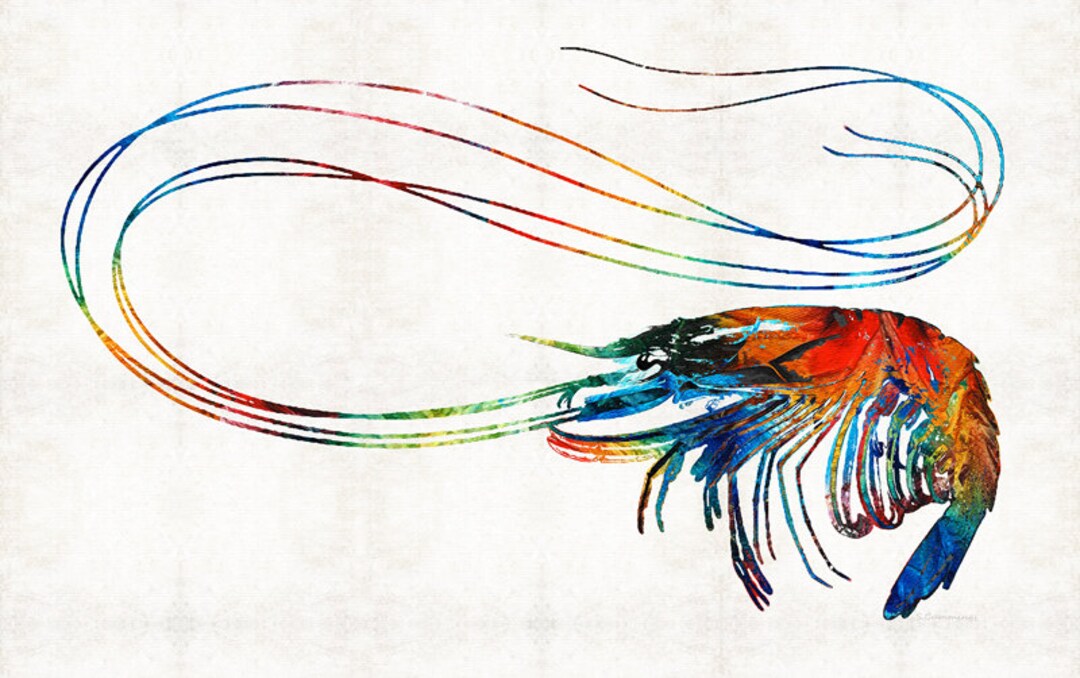 Colorful Shrimp Art PRINT Beach Ocean Sea Tropical Decor Beachy Home ...