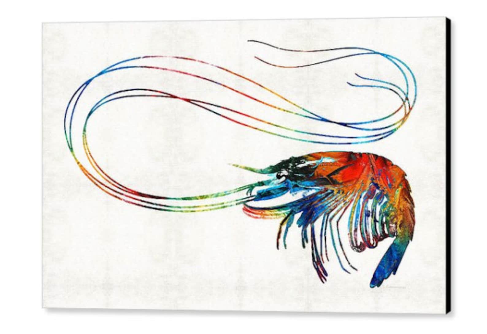 Colorful Shrimp Art PRINT Beach Ocean Sea Tropical Decor Beachy Home ...