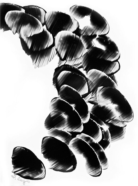 Black And White Contrast Drawing