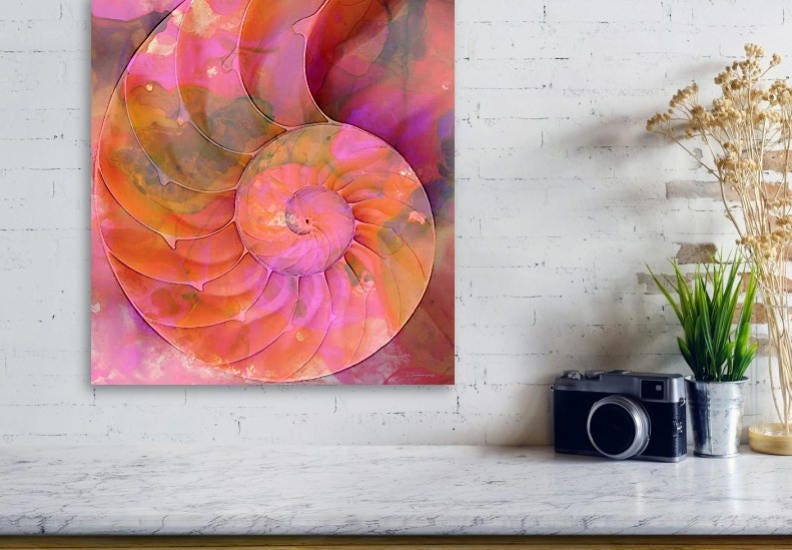 Nautilus Shell Art Print from Painting Colorful PInk Beach | Etsy