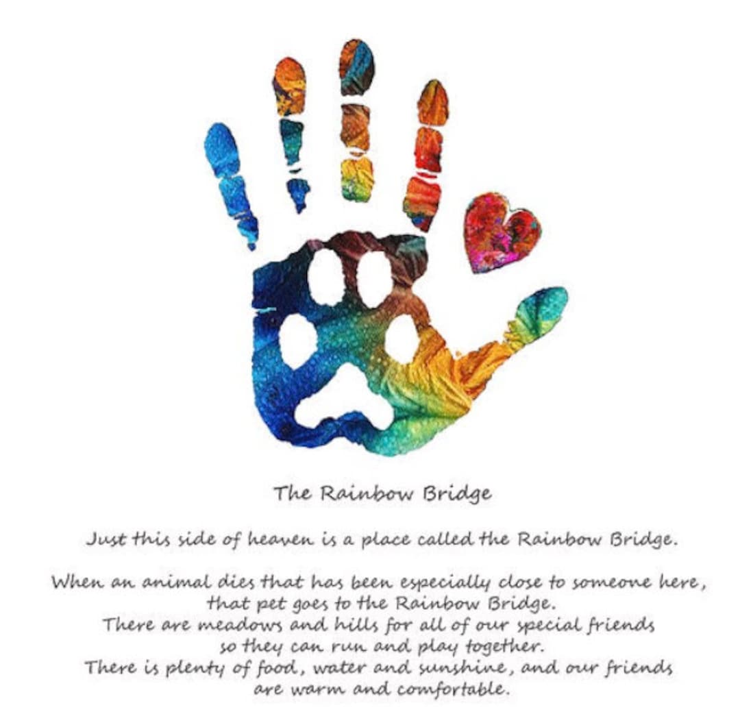 Dog Art Rainbow Bridge Tribute Pets Paws Colorful Memorial Never ...