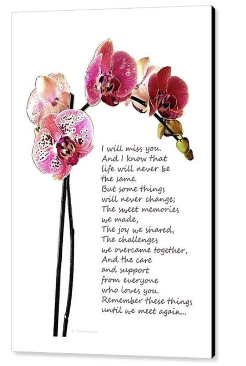 Colorful Pink Orchid Art Grief Comforting PRINT Flower Floral Poem ...