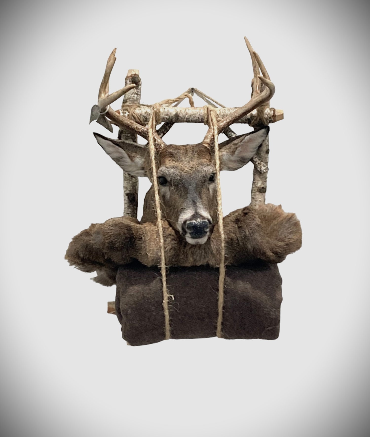 Taxidermy Back Pack Mount Frame, Pack Mount Frame, Back Pack Mount ...