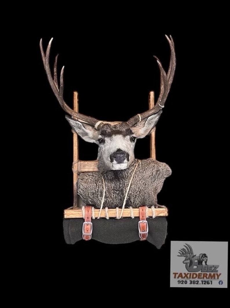 Handmade Taxidermy Backpack Mount Frame, Back Pack Mount, Pack Mount ...