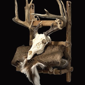 Handmade Taxidermy Backpack Mount Frame, Back Pack Mount, Pack Mount ...