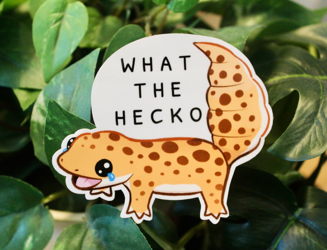 What the Hecko Gecko Lizard Sticker | Laptop Decal Stationary - Etsy