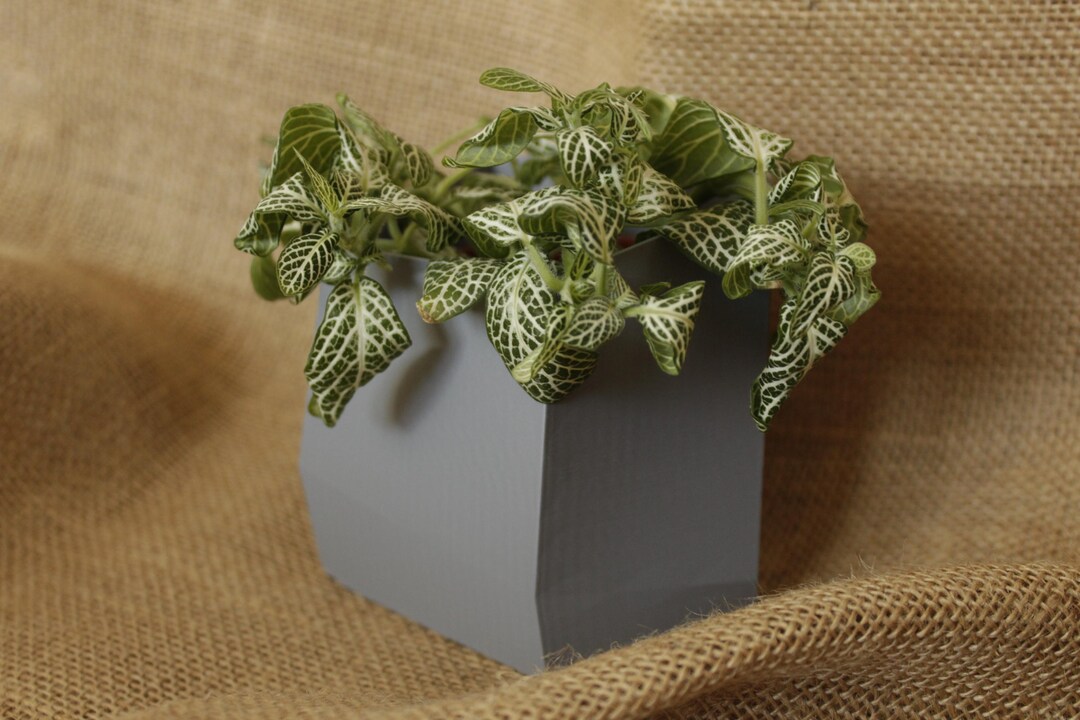 Nani | Plant Pot | Lowpoly - Etsy