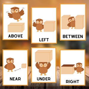 Preposition Owl Flashcards, Montessori Printable Activity, Positional ...