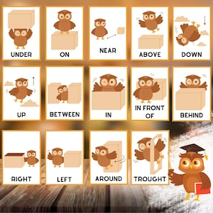 Preposition Owl Flashcards, Montessori Printable Activity, Positional ...