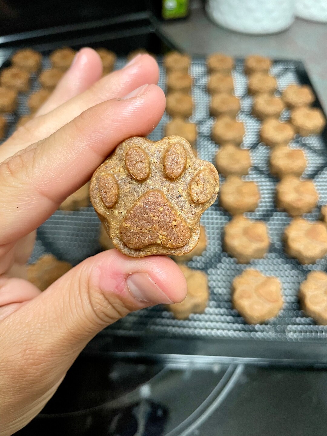 Peanut Butter Homemade Dog Treats, Biscuit Bar Treats, Crunchy Dog ...