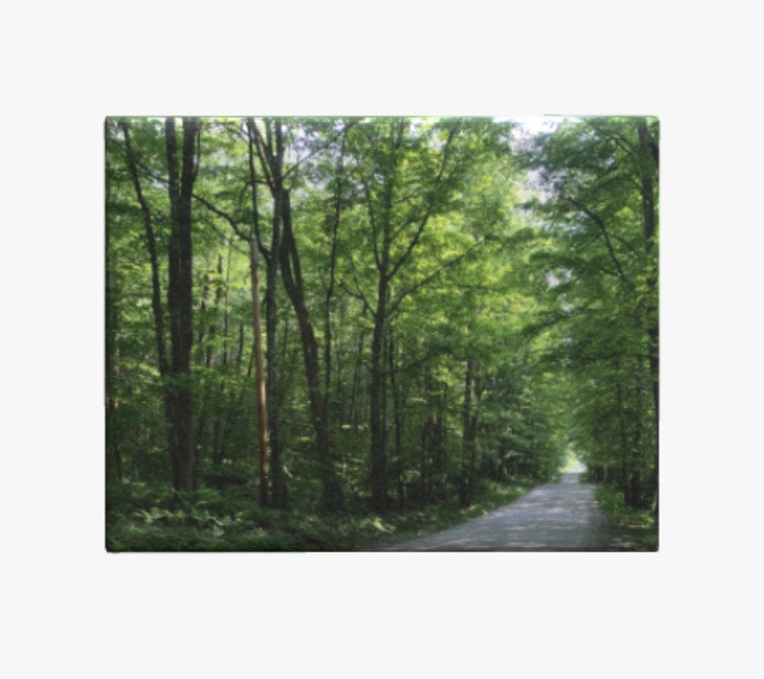 Vermont Forrest Scenic Canvas Print - Etsy