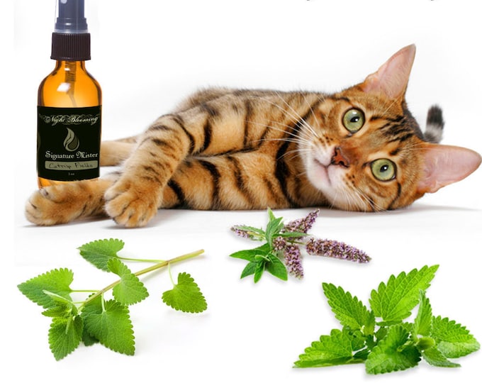 Organic Catnip Spray: Natural Catnip Toy Purrfect Gift for Cat Lover - Etsy
