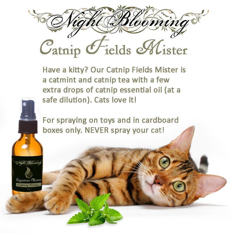 Organic Catnip Spray: Natural Catnip Toy Purrfect Gift for Cat Lover - Etsy