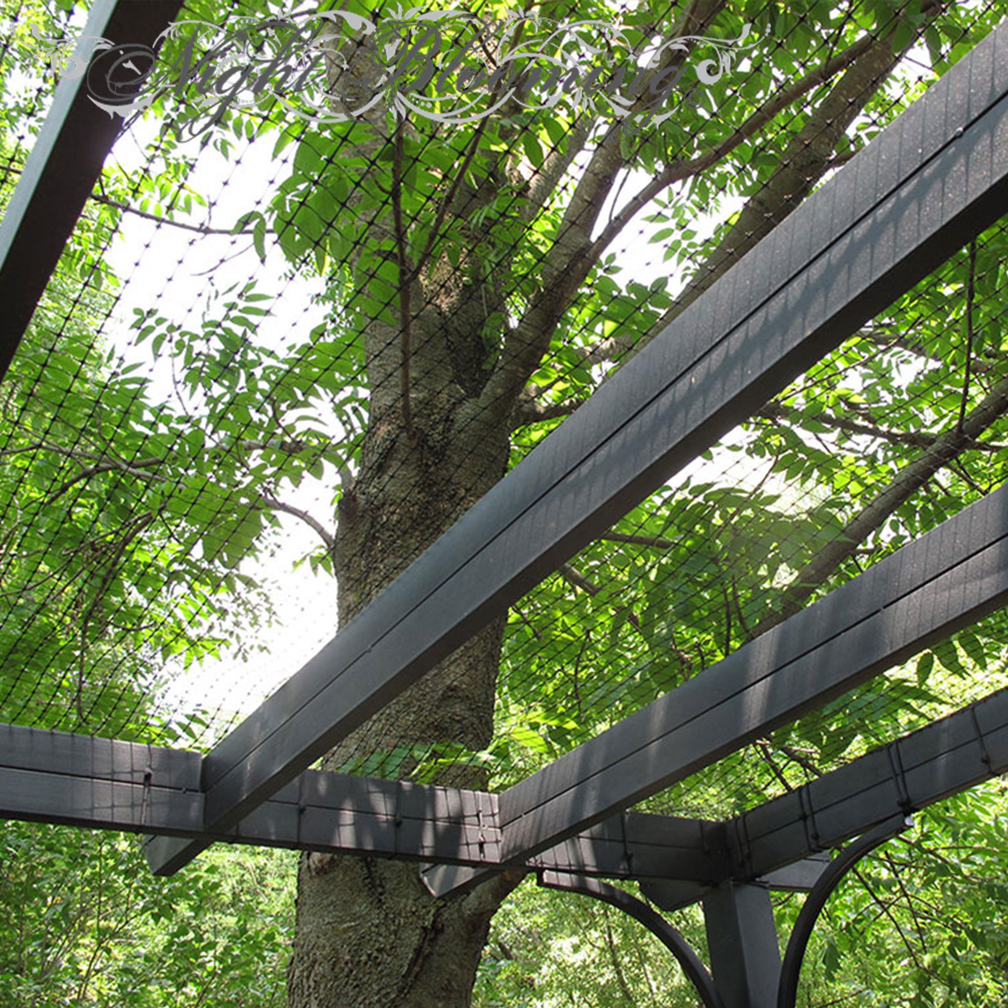 Garden Pergola DIY Cat Enclosure & Catio Plans With Natural | Etsy UK