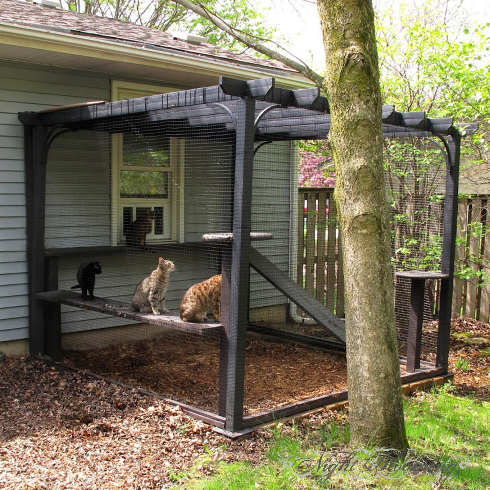Garden Pergola DIY Cat Enclosure & Catio Plans With Natural - Etsy