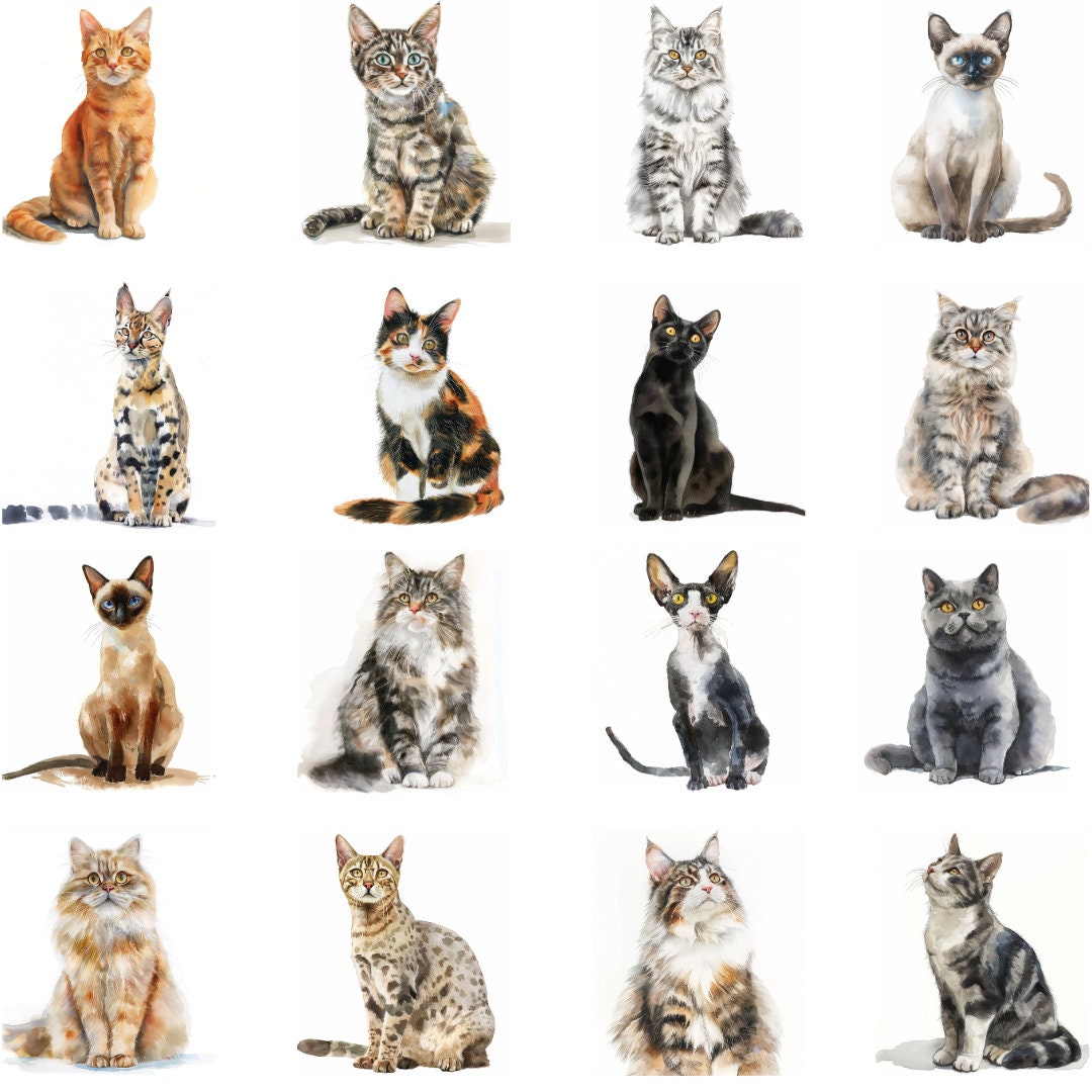 16 Cat Breeds Digital Clipart | Watercolor Bundle | Cat Clipart Bundle ...