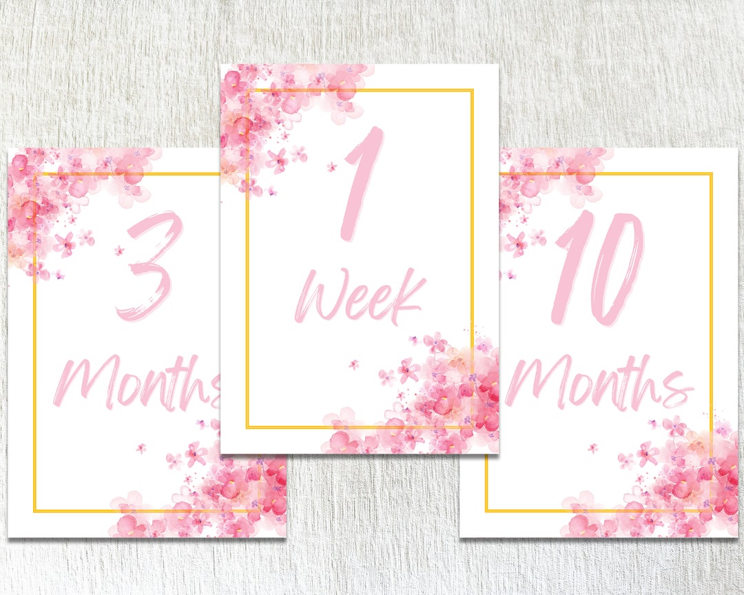 Modern Girl Monthly Milestone Card Set | Monthly Cards | Baby Shower ...