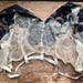 Antique Lace Chemisette as Is - Etsy