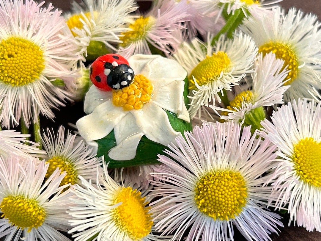 Ladybug Daisy Keycap - Etsy
