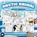 Arctic Animal Cut and Paste Craft Bundle (PDF) - Etsy