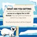 Arctic Animal Cut and Paste Craft Bundle (PDF) - Etsy