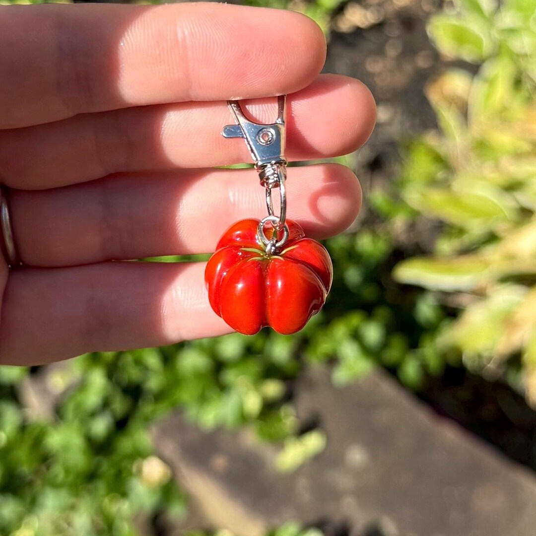 Tomato Keychain, Handmade Clay Key Chain, Red Tomato Bag Charm, Cute ...