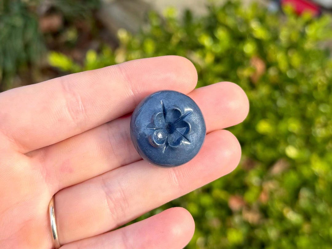 Blueberry Magnet, Handmade Food Kitchen Magnets - Etsy