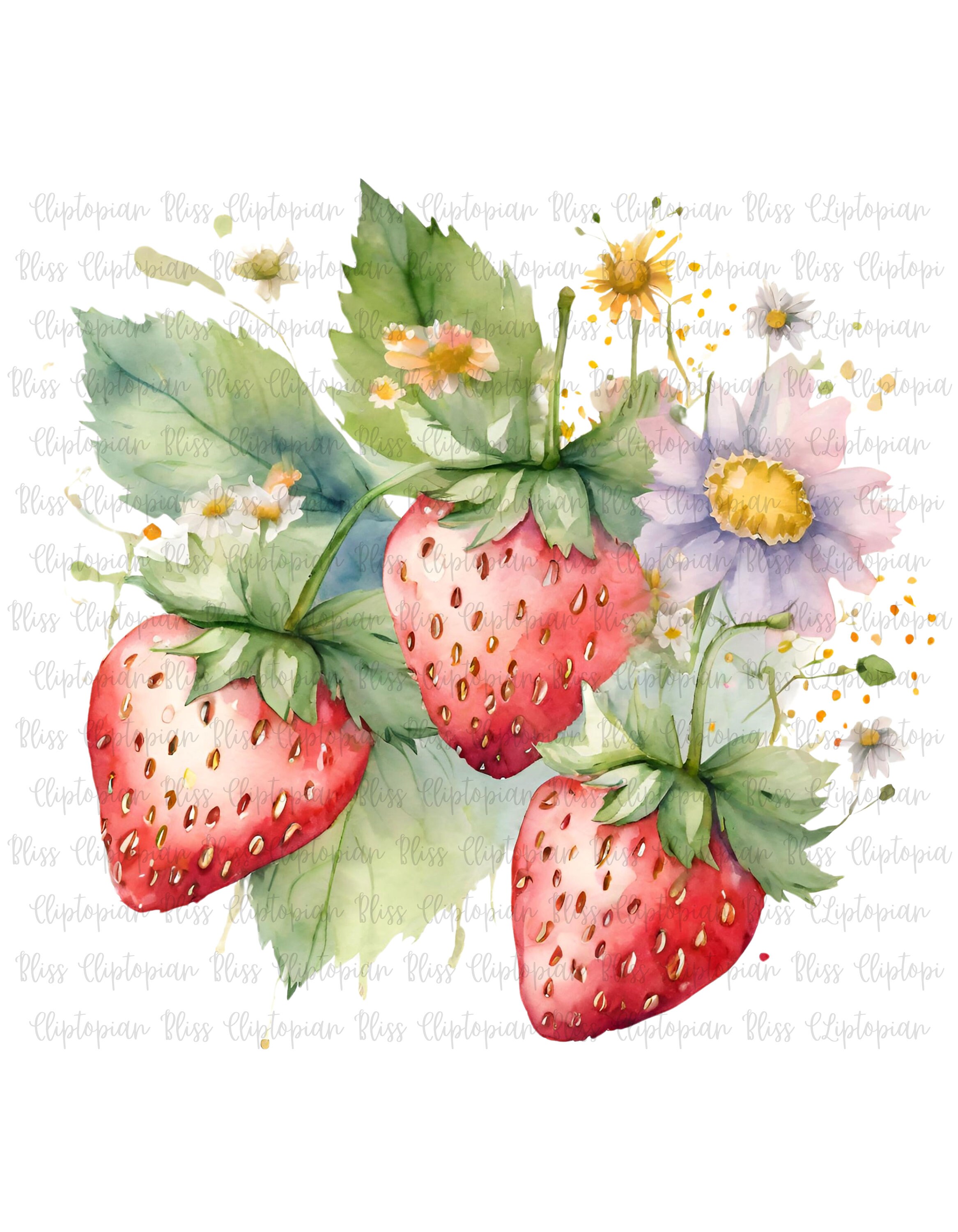 Watercolor Wild Strawberry Social Clipart Collection (10 Files) - High ...