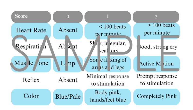Horizontal Apgar Score Card for Badge - Etsy Hong Kong