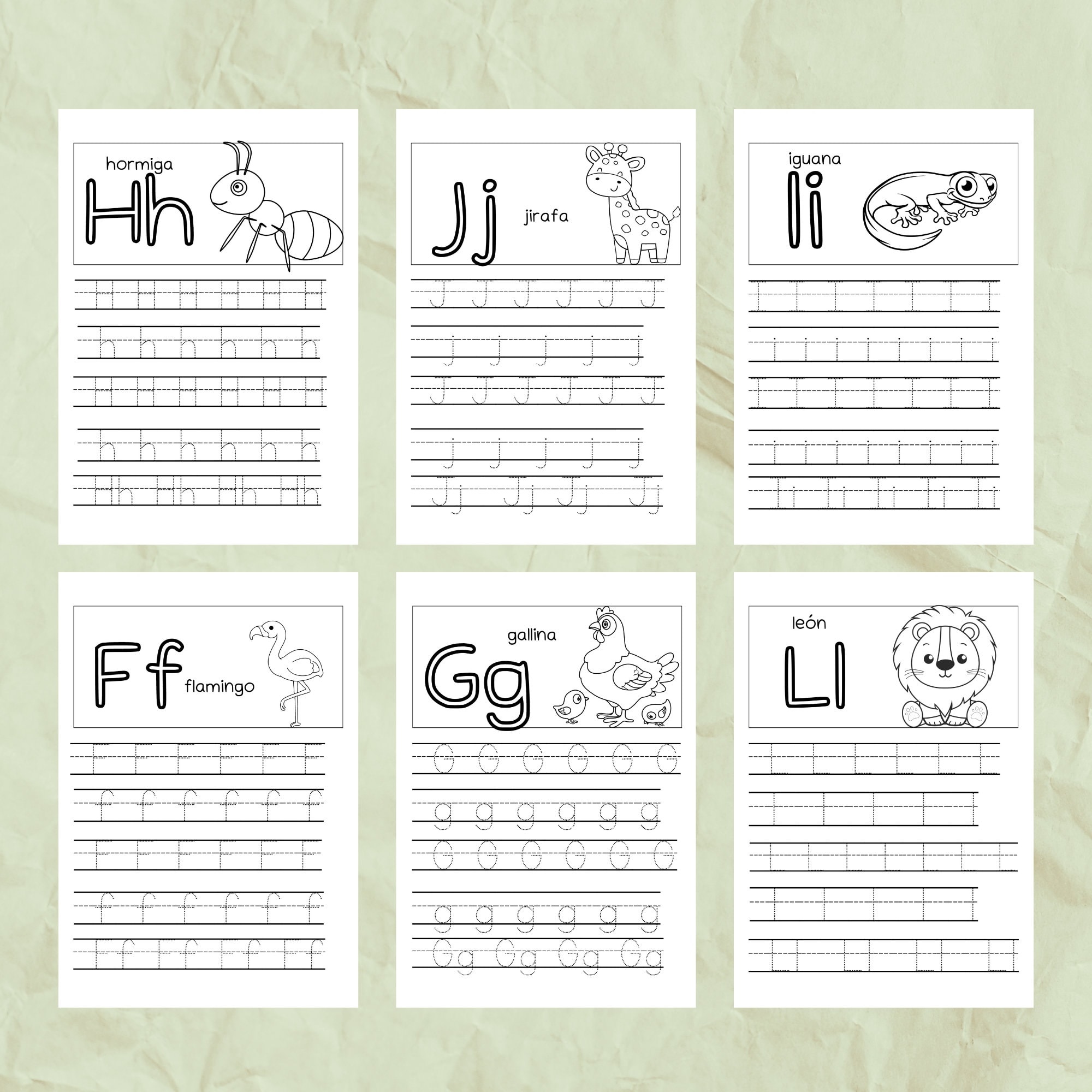 Tracing the Spanish Alphabet, Letter Tracing in Spanish, Learn to Write ...
